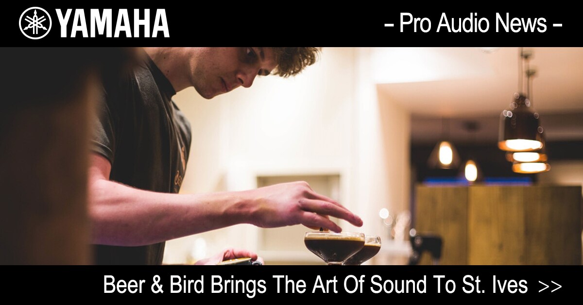 Beer & Bird Brings The Art Of Sound To St. Ives